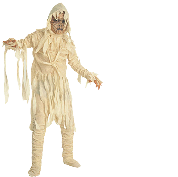 Boy Scary Mummy Costume - funplaycostume.com